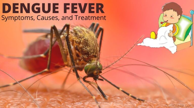 Dengue Fever: Symptoms, Causes, and Treatment